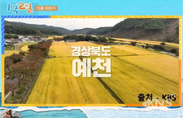 KBS 2TV 예능 프로그램 1박2일 시즌4 ‘예천군편’ 방영 - KNS뉴스통신